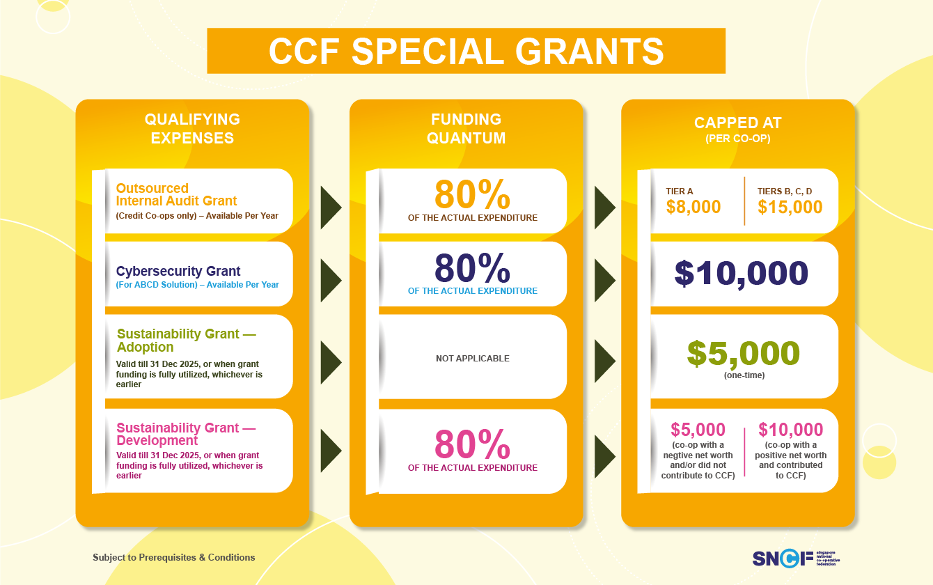 CCF Special Grants